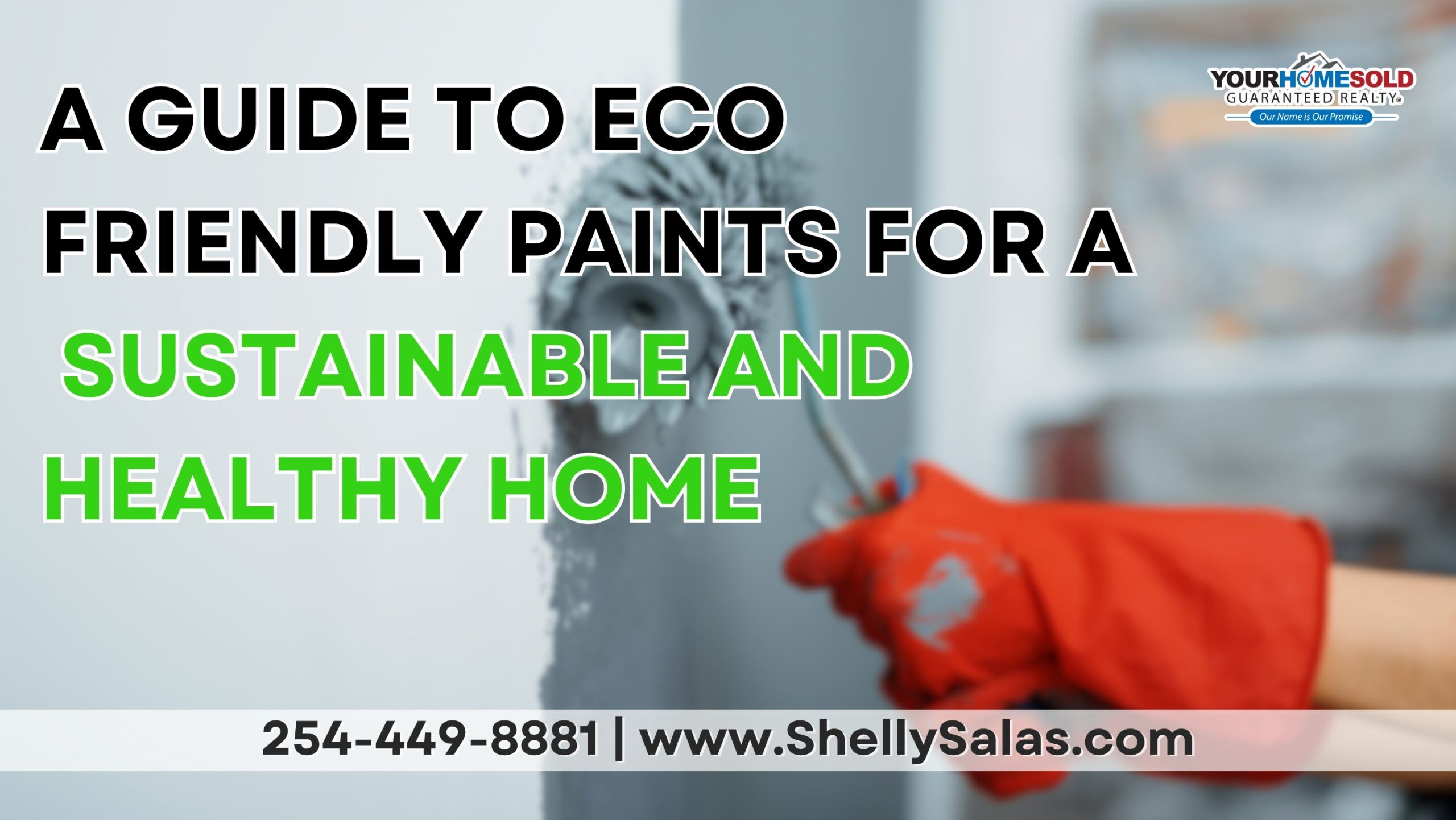 A Guide to Eco Friendly Paints for a Sustainable and Healthy Home